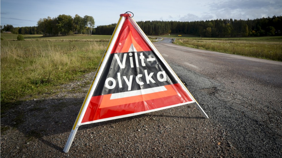 Polisen: "Anmärkningsvärd timme" – uggla inblandad