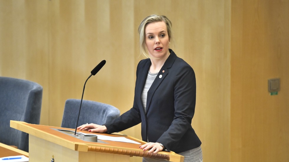 V-toppen får kritik för uttalande: "Hon spär på hatkampanjen om att myndigheter kidnappar ...