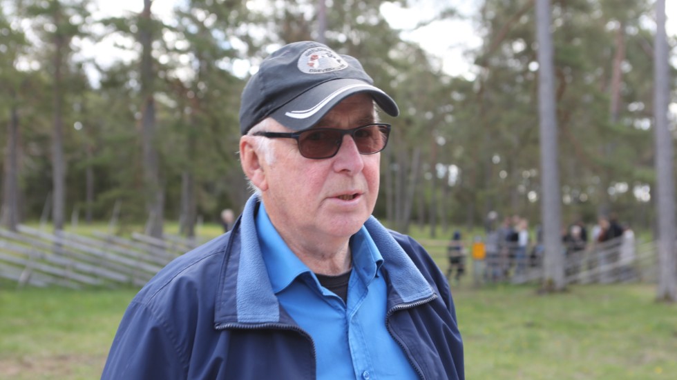 Klart med årets hingst på Lojsta hed