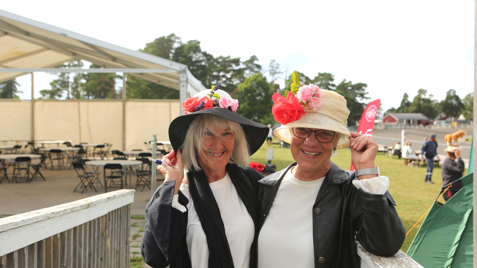 Bildextra: Hattfest när Ladies day hölls på Visbytravet