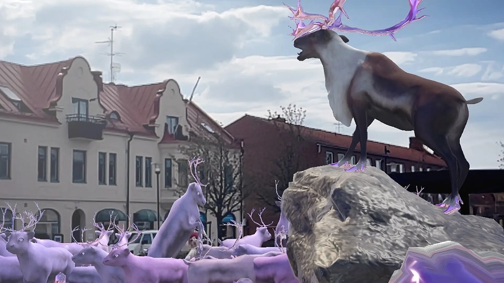 Nu kan du bli jagad av en ren längs gatorna