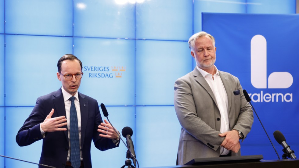 Liberalernas recept: Sänk skatter på el