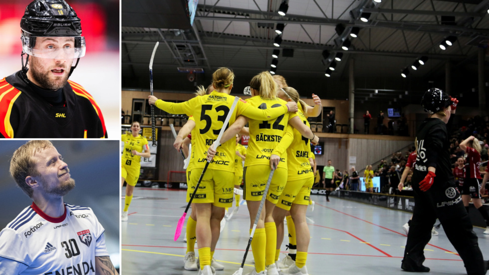 Vill se Larsson i Visby Roma om klubben når hockeyallsvenskan