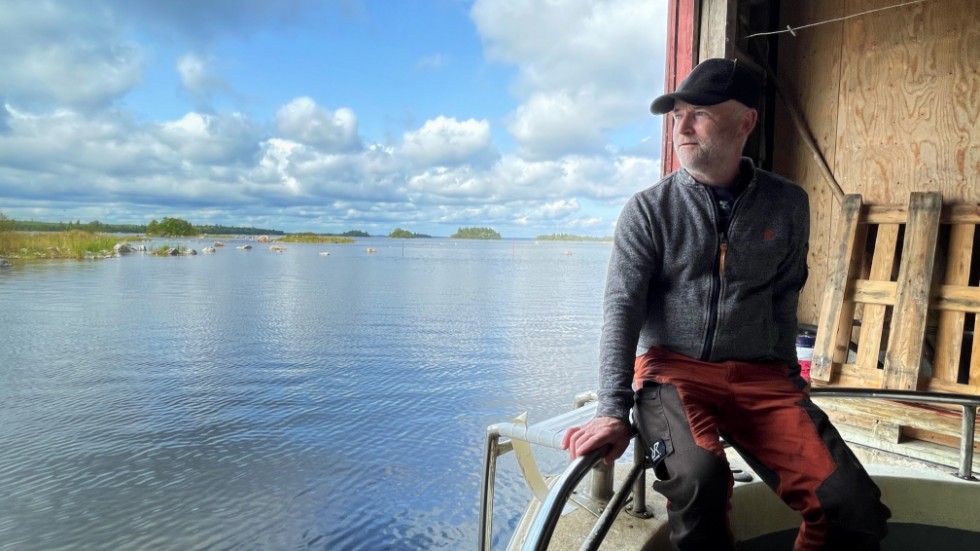 Surströmming är stor bristvara – fiskarna är osäkra på framtiden