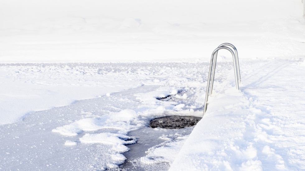 Hon tar isande bilder på modiga vinterbadare