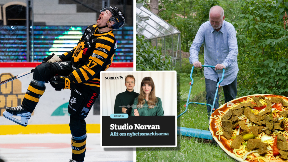 Halvtidskoll i SHL: ”Har funnits stora problem”