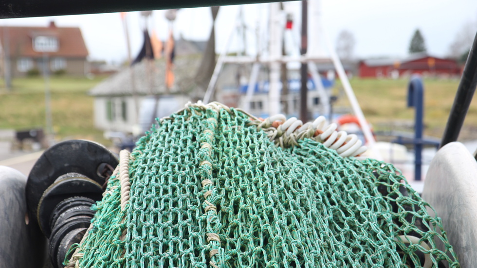 Fiskaren i Herrvik spår dyster framtid: ”Ovissheten är svår”