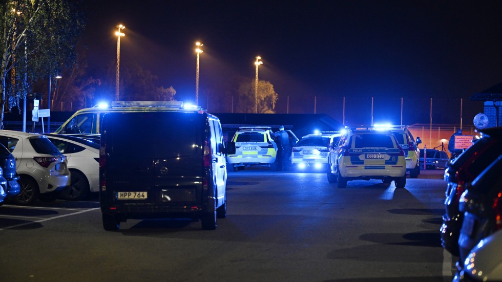 Psykologen: Så talar du med dina barn om våldsvågen