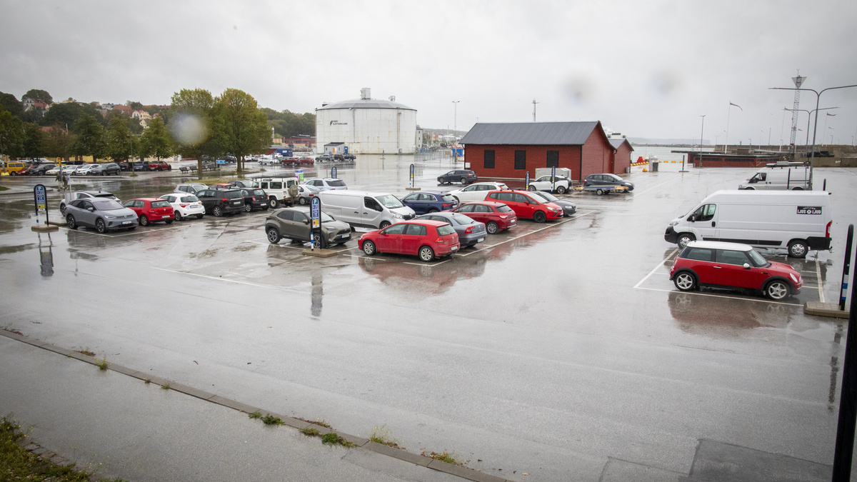 Nya turer kring Containerparken – tillbaka på ruta ett