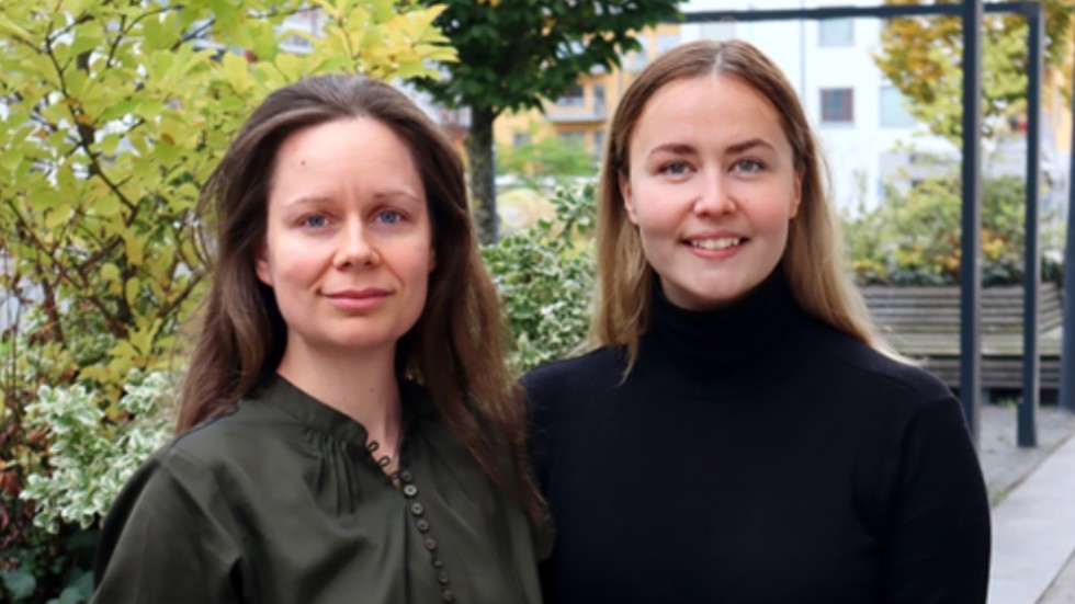 JOHN HÄLLSTRÖM: Från politisk vilde till mäktigaste politikern ...