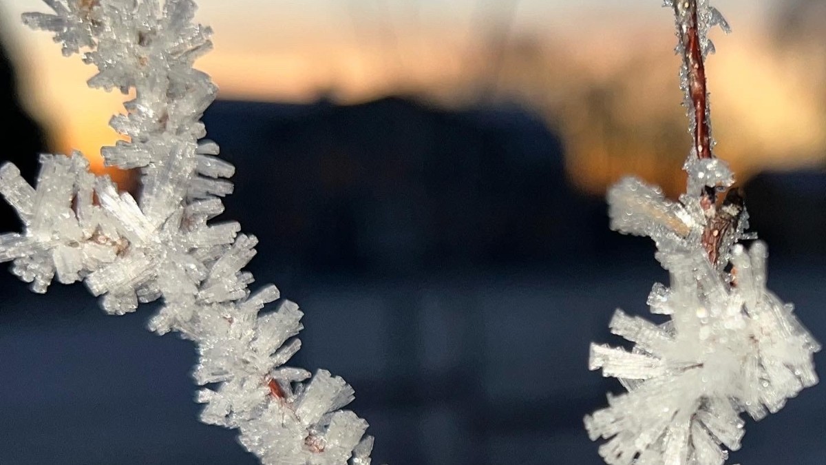 Läsarbilden: Frosten biter i kinderna