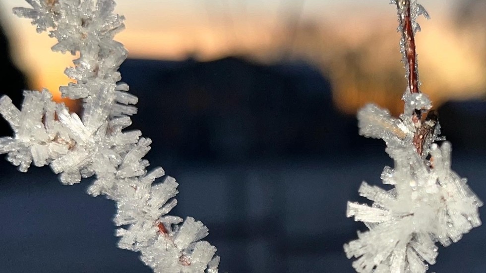 Läsarbilden: Frosten biter i kinderna