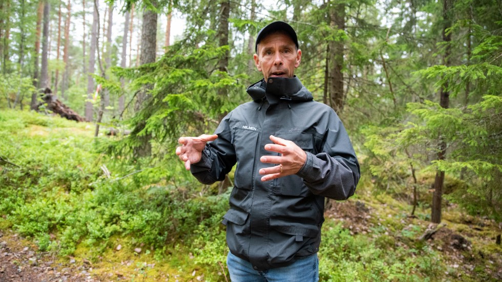 Upprörda känslor när Holmen ska avverka skog i friluftsområde