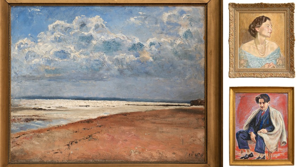 Se den nyinköpta konsten på Östergötlands museum