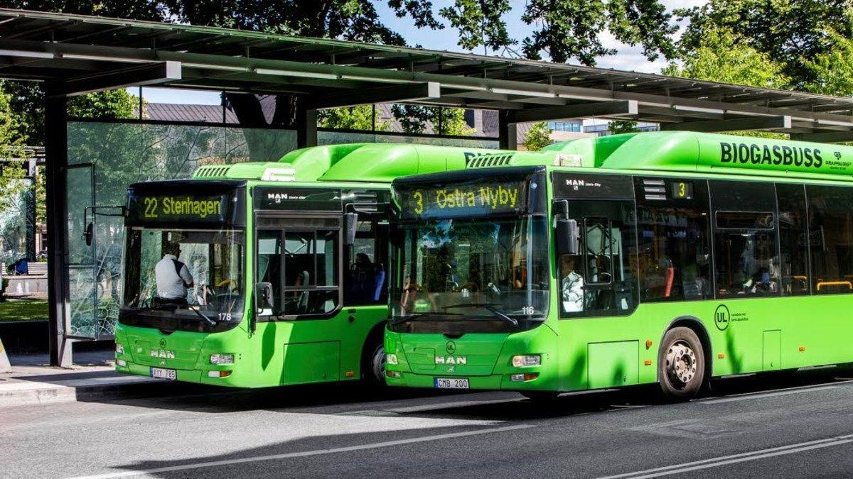 De kan bli Sveriges bästa bussförare