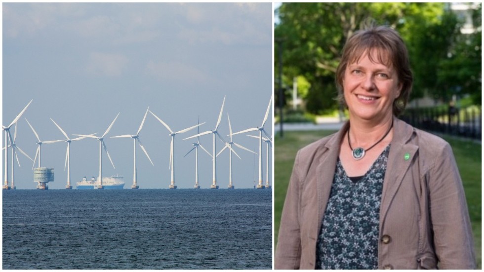 Vill bygga vindkraftpark – nära häckningsområde • Kommunen säger både ja och nej: "Vi saknar ...