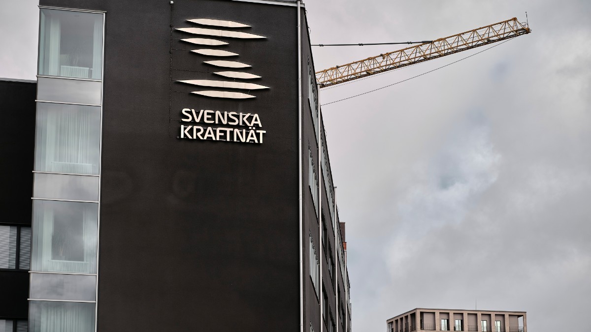 Svenska kraftnät anmäler sig själva