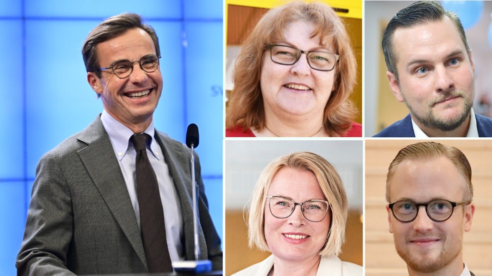 Lokala politikerna om nya regeringen: "Jag skrek rakt ut" • "En del ...