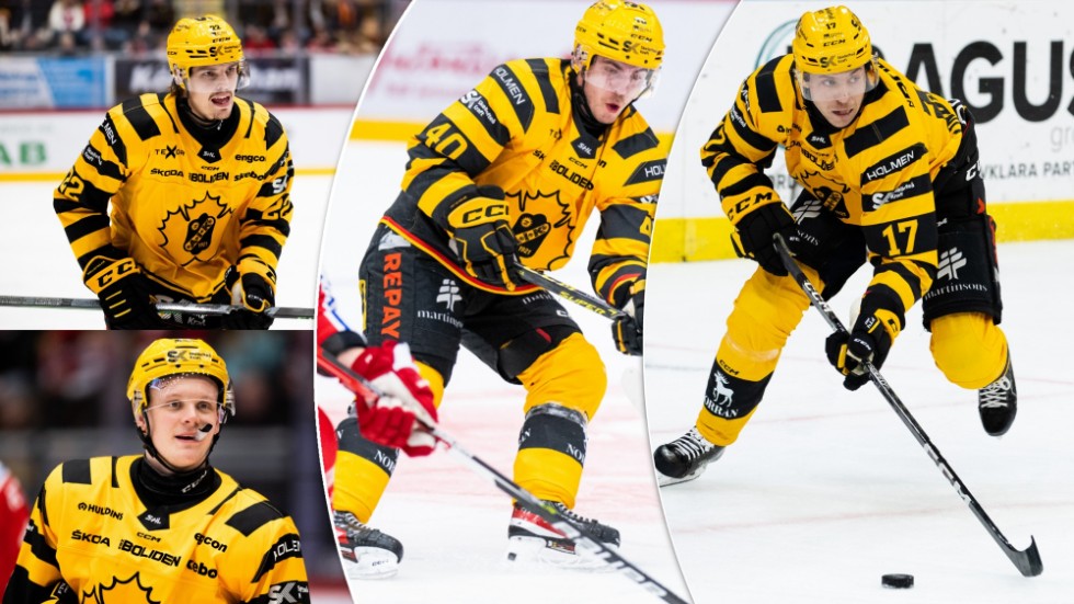 ERIK GRAHN LUNDGREN: SHL:s bästa centersida visar vägen för AIK