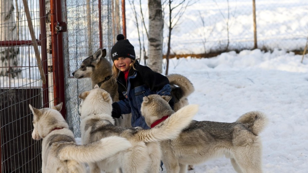 Your guide to sportlov activities in Skellefteå