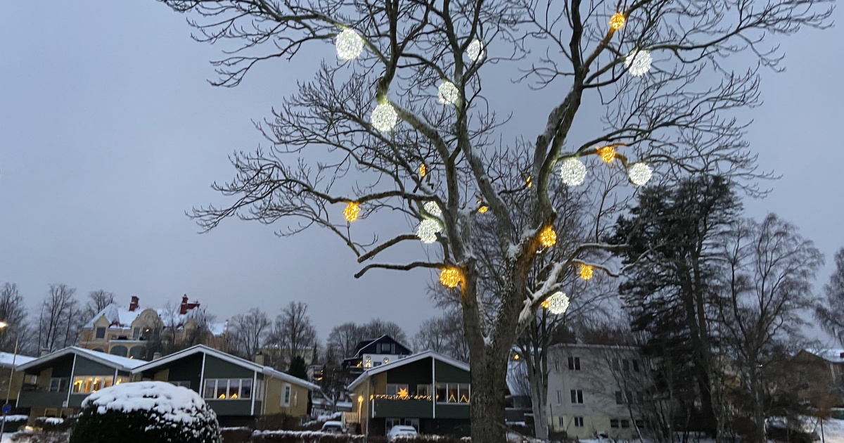 En ljus idé: "lys-ask" intill korsningen