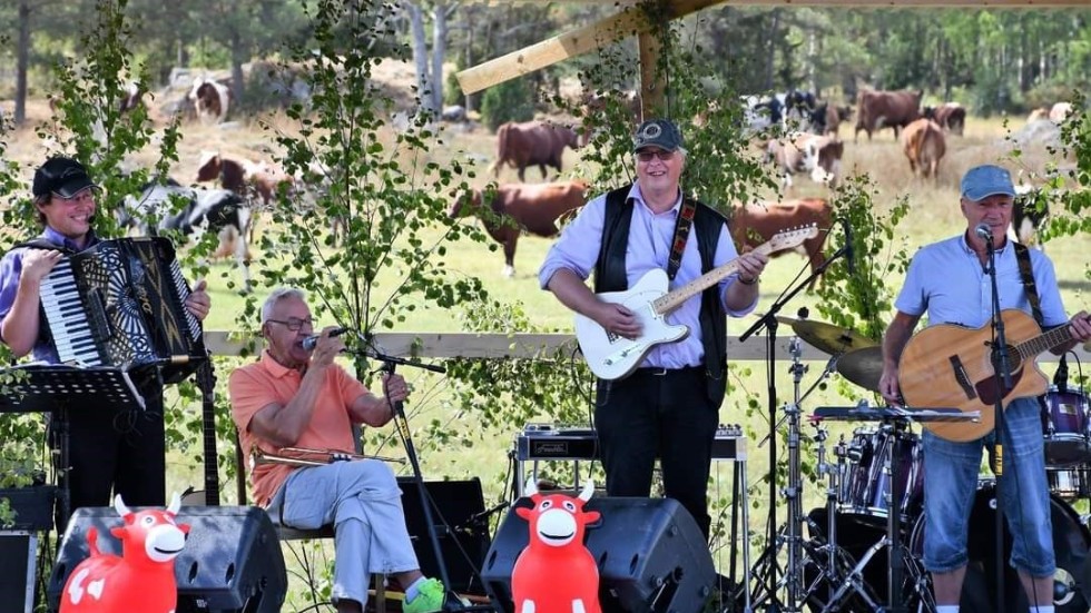 Svensktoppkungar spelar i kohagen i Faringe