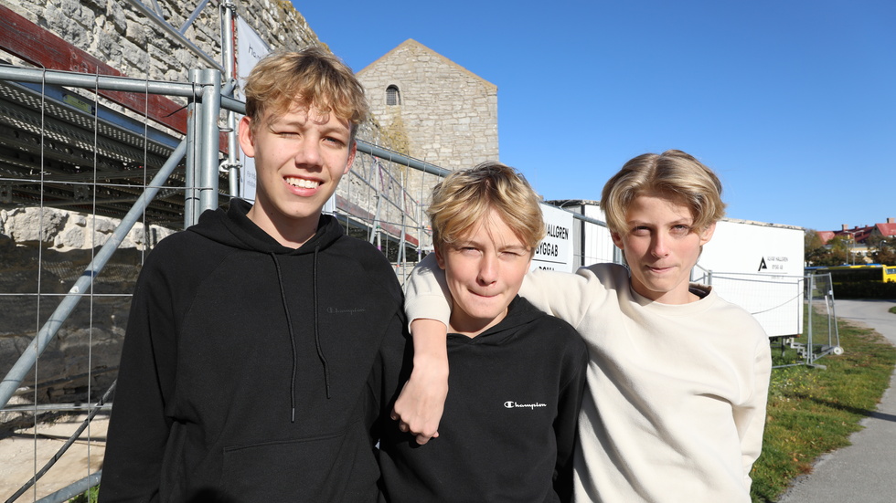 ENKÄT PÅ STAN: Så ser gotlänningarnas läsvanor ut