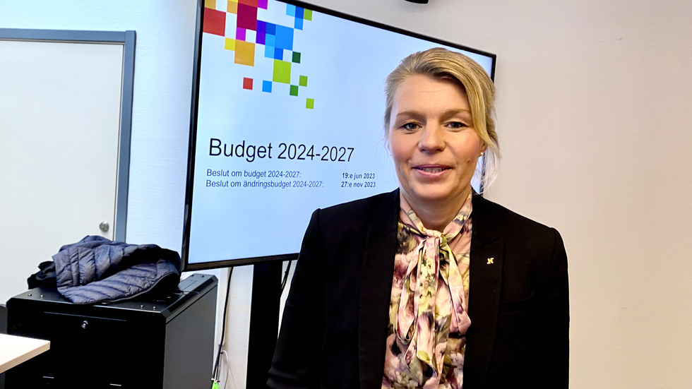 Jarl om ekonomin: "Oansvarigt av oss att börja använda pengar"