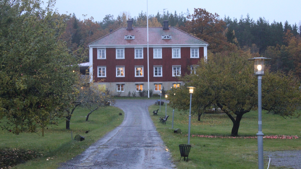 Kändisparet i Gryt öppnar ny butik – och bjuder på familjeshow