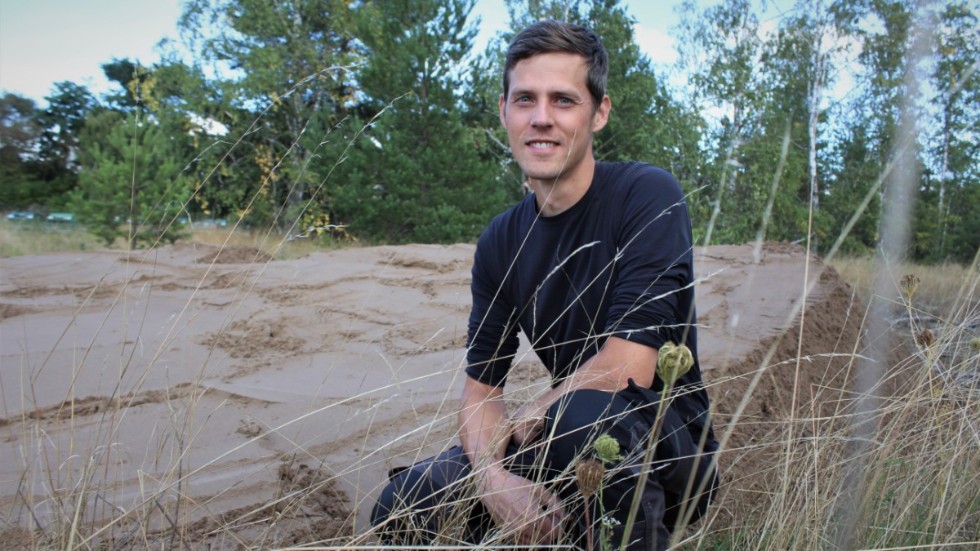 Här får vilda bin nya bäddar – "Gör stor nytta"