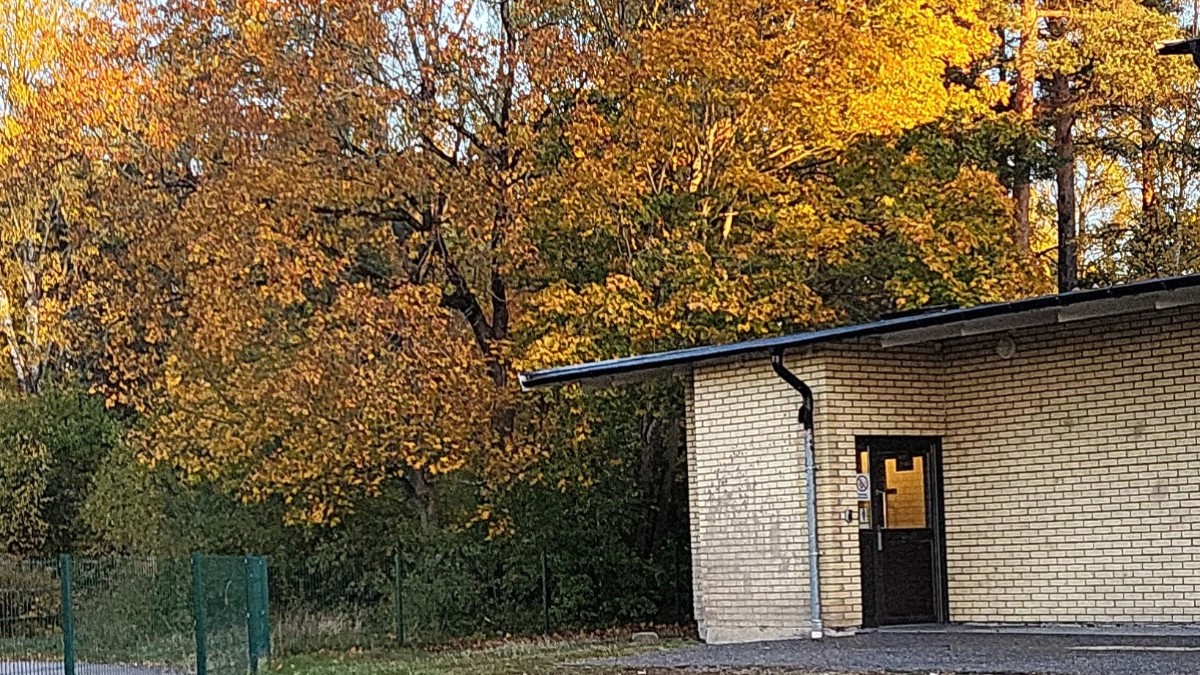 INSÄNDARE: Var ska vi leka om ni tar ner skogen?