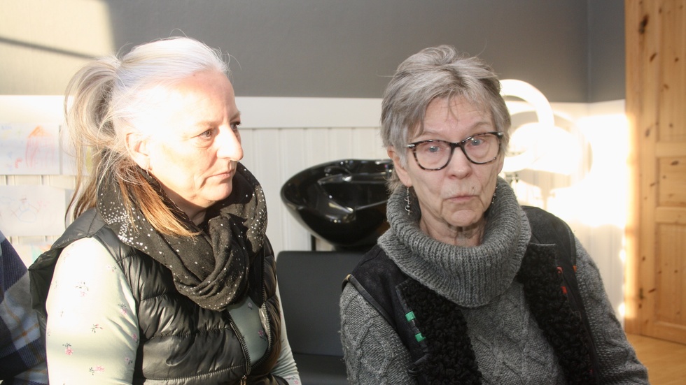 Skönhets- och hälsoföretagen sätter fart på utvecklingen i byarna