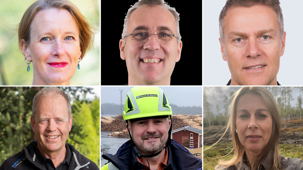 INSÄNDARE: Tre löften för en mer hållbar utveckling