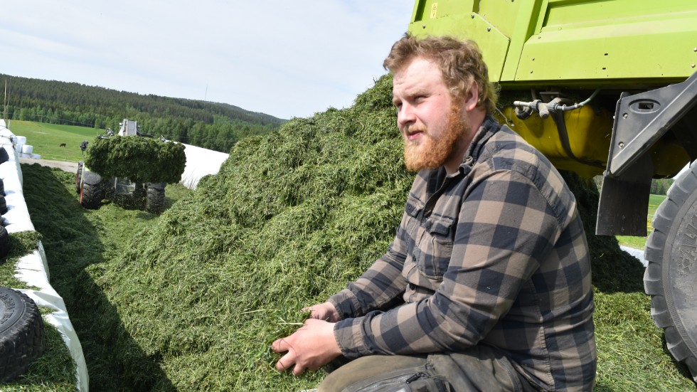 Oro för torka bland bönder i norr – Martins åkrar är redan torra