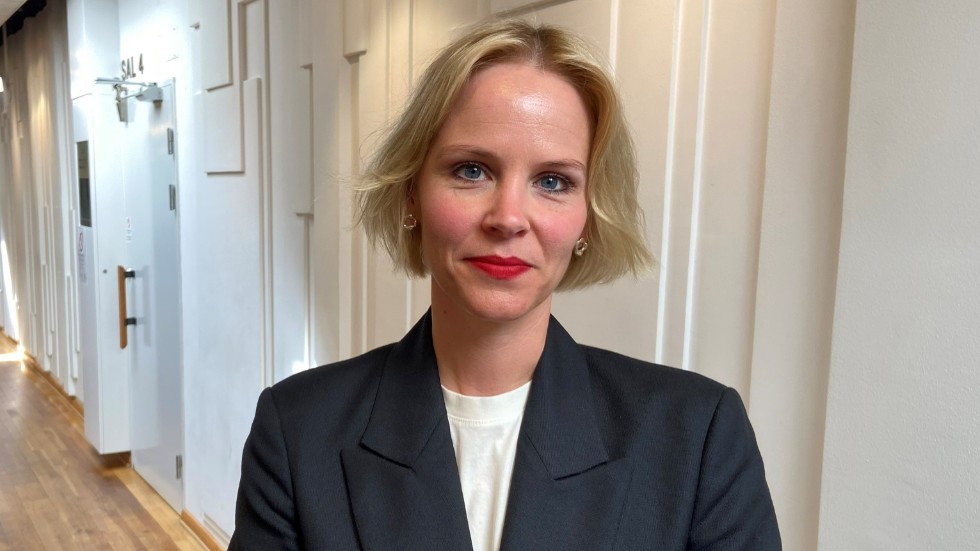 Knivmannen fälldes: "Det här är en politisk rättegång"