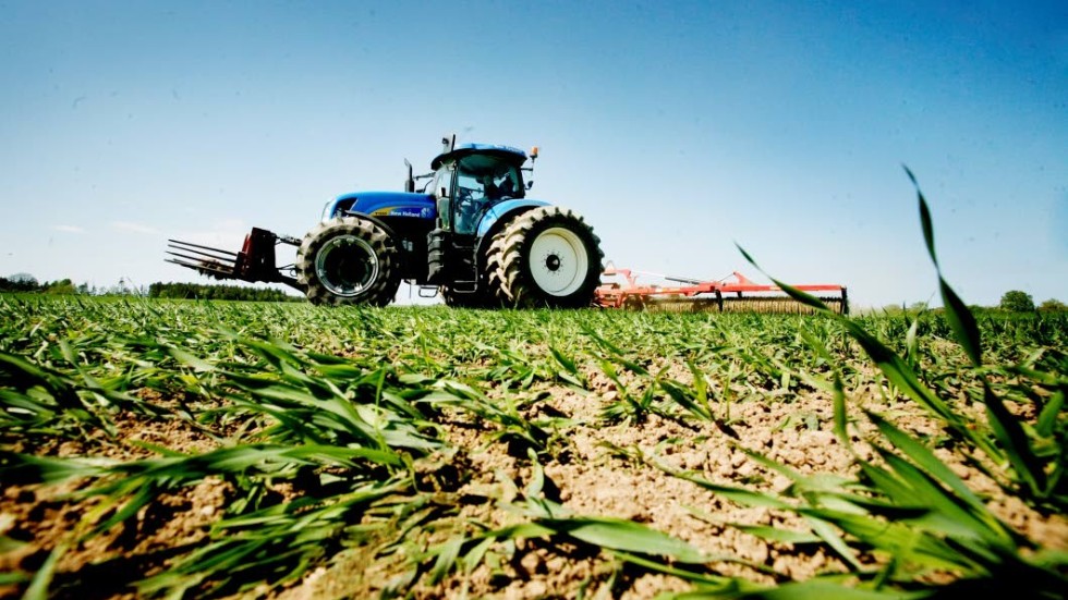 Gotländska jordbruk kan visa vägen för Europa