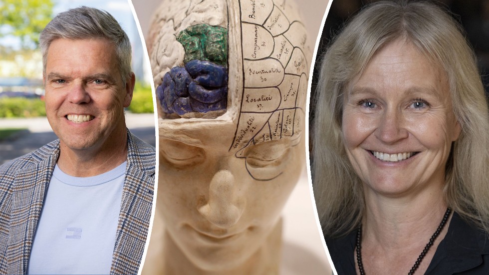 Så kan nytt vapen mot hjärntumör förgöra cancerceller