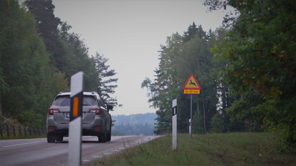 Vägen som är värst drabbad av viltolyckor i hela länet