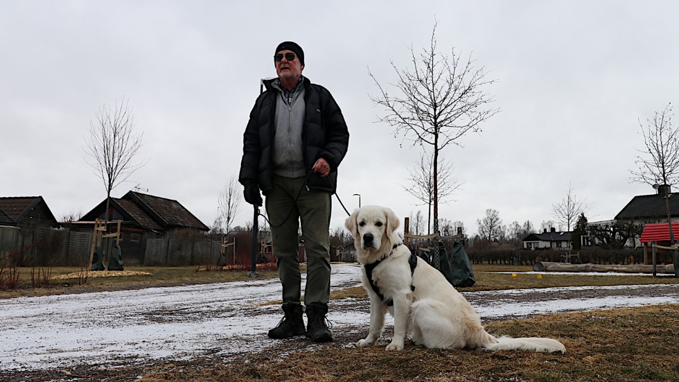 Nu ska djuret i stadsdelen fångas: "Jag har hört att den attackerat hundar"