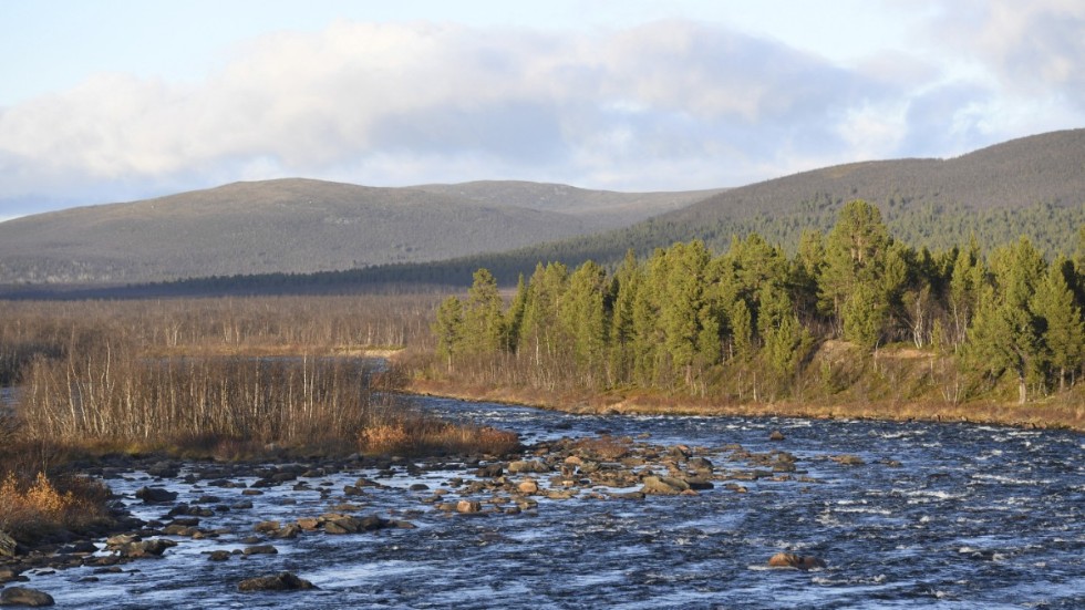 INSÄNDARE: Norra Sverige – en koloni med ljus framtid