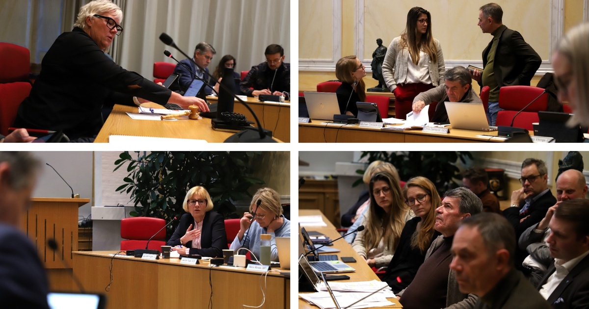 Irriterad stämning i ks: "Snudd på härskarteknik"