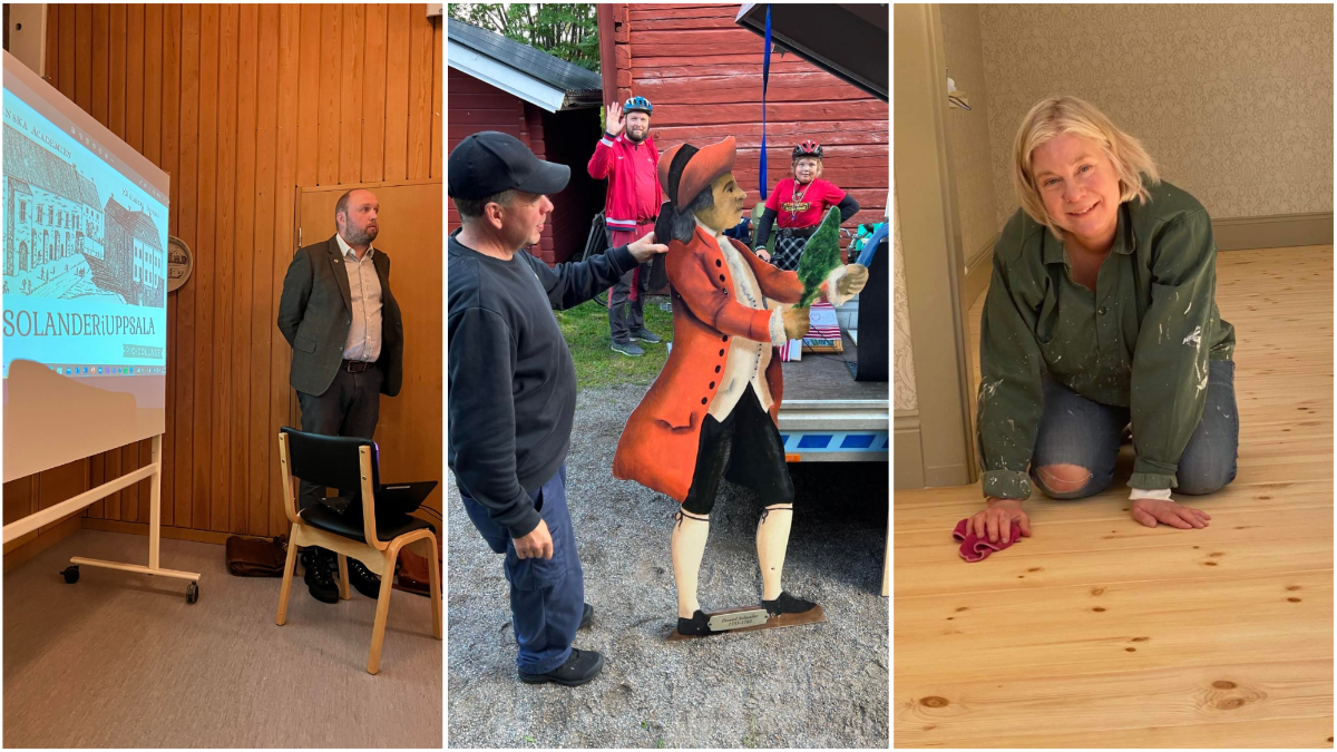 Solander flyttar in igen