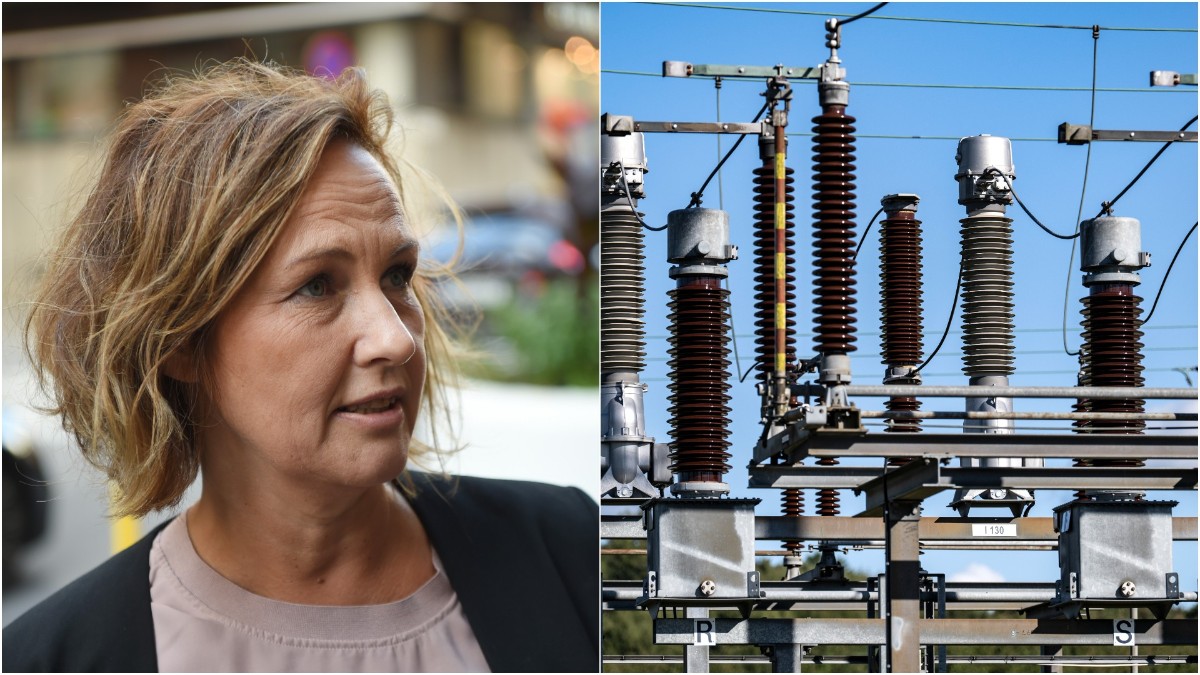 WIDAR ANDERSSON: Elektriciteten i Sverige skulle behöva en Juno Blom