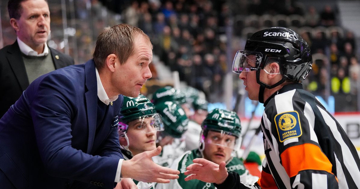 ROBIN LINDGREN: "Är så less hockeyn domarna tillåter – vem vill ha det ...