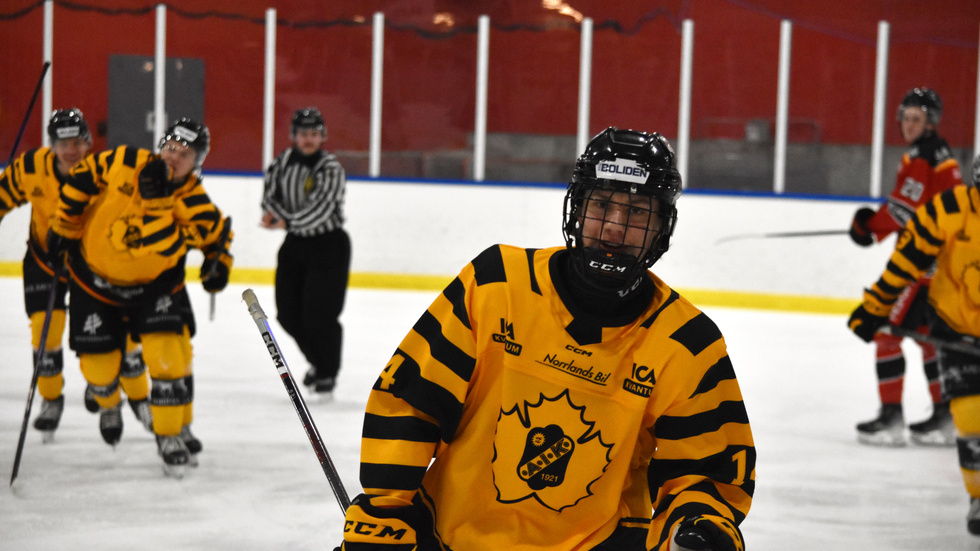Fem Skellefteå AIK-talanger landslagsuttagna