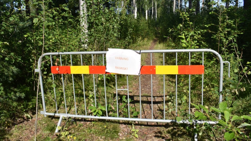Eventuella ras vid Skellefteälven: Dyrt att bygga bort riskerna