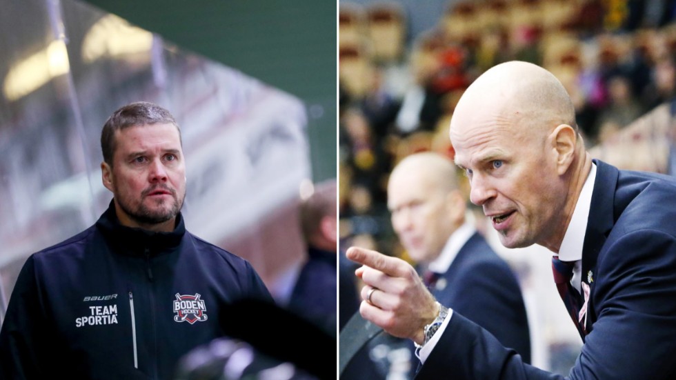 Profilerna klara för Boden Hockey – eller...?