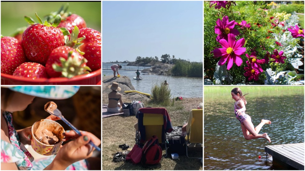 Här är läsarnas sommarbilder – skicka in bilder du med!