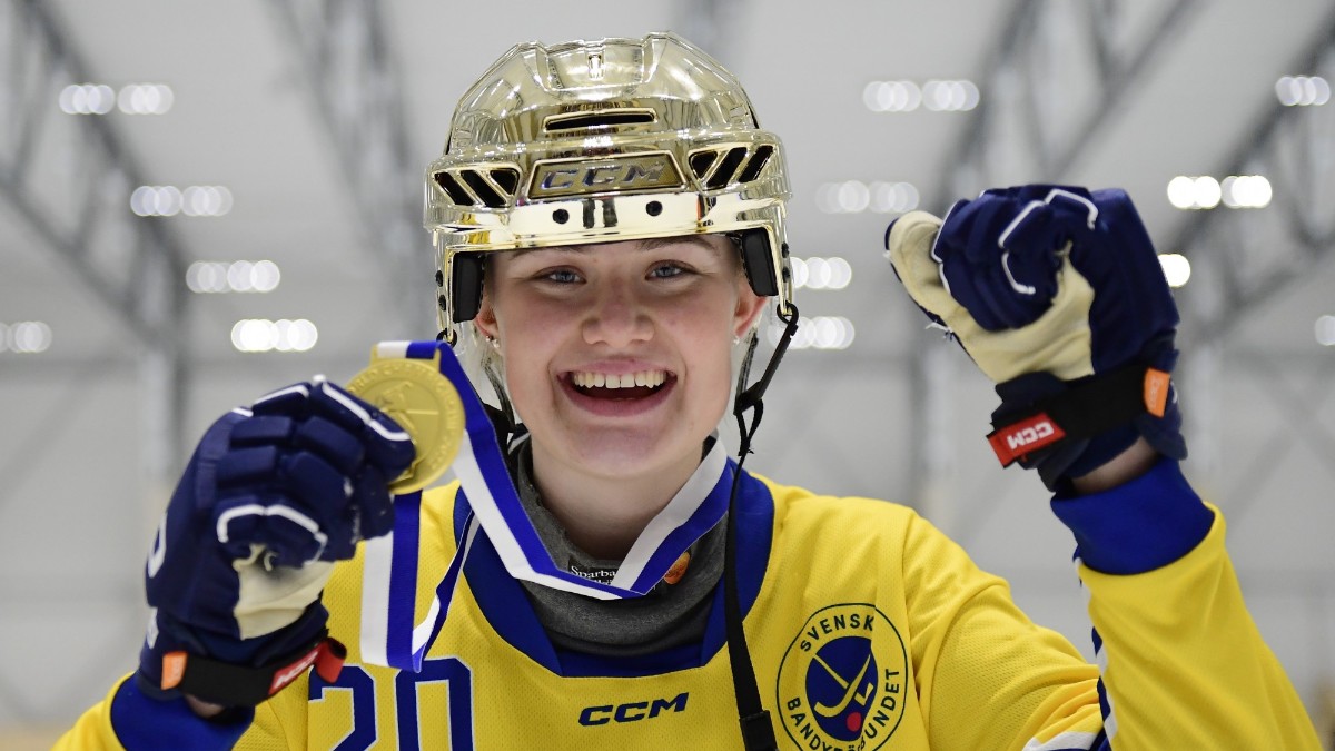 Många guldhjältar i Sveriges VM-trupp