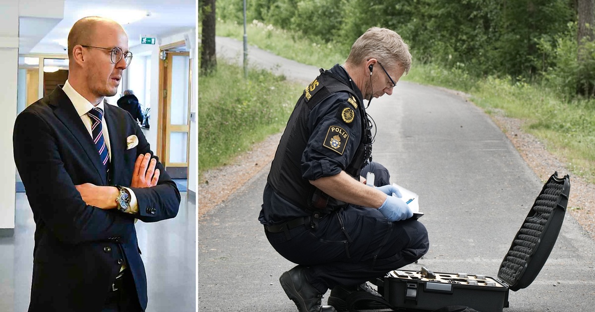 Nya beskedet om våldsdådet – och svaret från flickans advokat ...